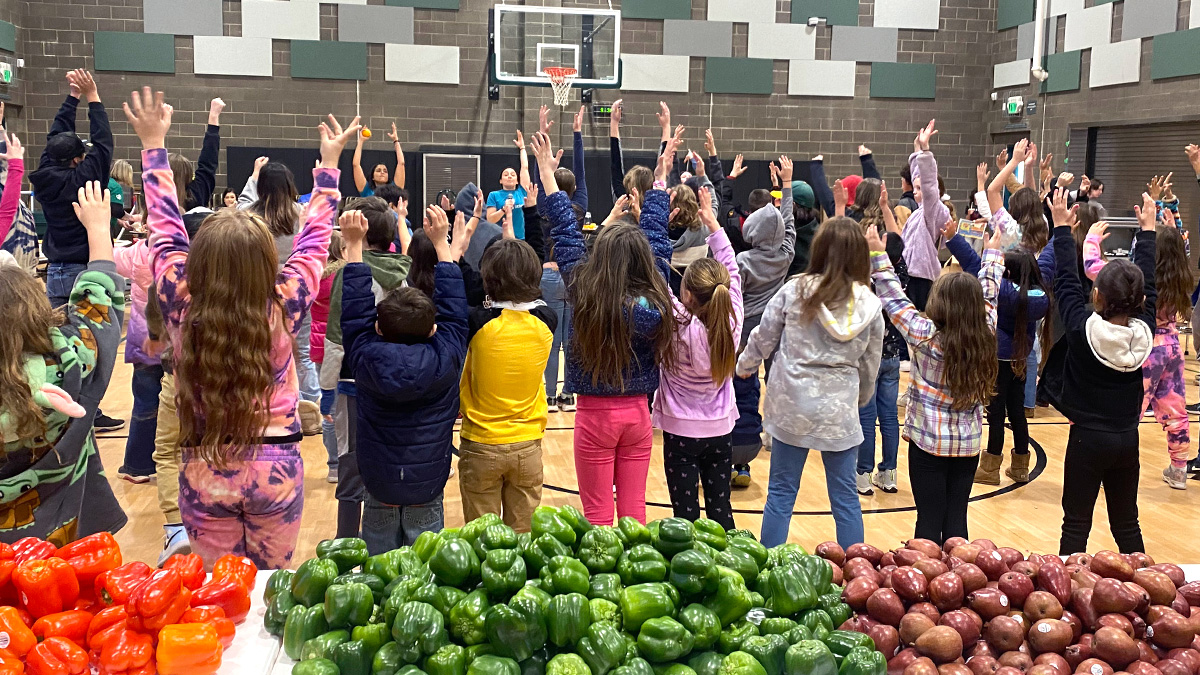 Our Curriculum - Mindful Littles